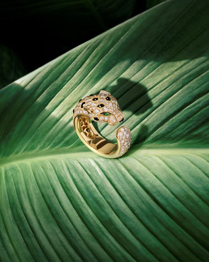 Conheça a história por trás da linha Panthere de Cartier – BRASIL ...