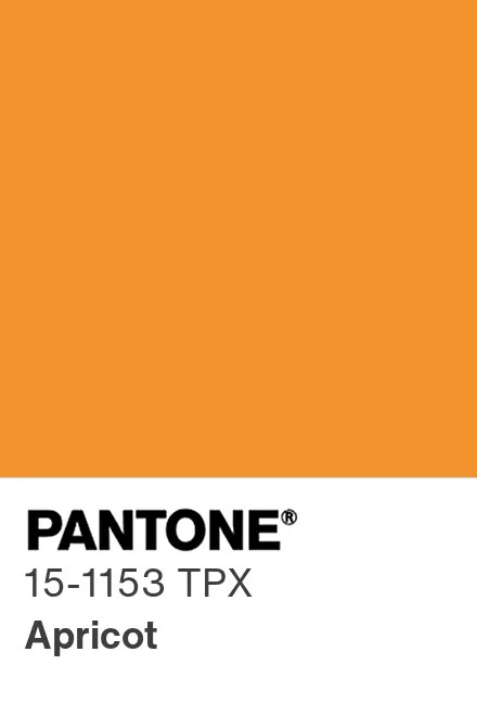 Tendências de decoração 2024: Pantone Apricot Crush em ambientes ...